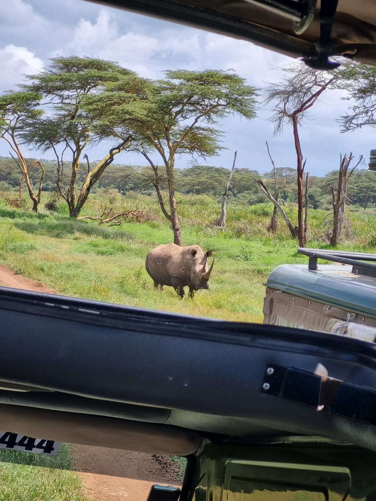 Solio Ranch Conservancy 2024/2025 Park Entry Fees - Sunup Adventures